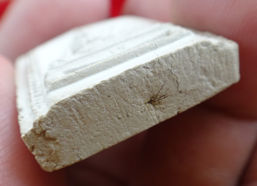 เหรียญรุ่นแรกหลวงพ่อเพ็ชร วัดสิงทอง สุดยอดเหรียญแห่งเขมราฐ มาครบชุด พระ ...